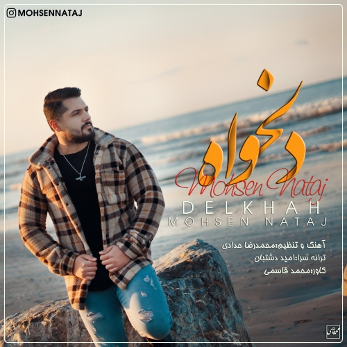دانلود آهنگ محسن نتاج دلخواه MP3 کیفیت کامل